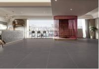 China AAA Grade Indoor Porcelain Tiles 400x800mm Clay Antibacterial for sale