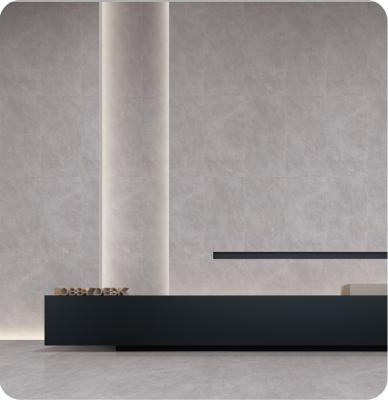 China Grade AAA Stain-resistant and Antibacterial Grey Matt Porcelain Tile 750x1500mm For Living Room and Bathroom for sale