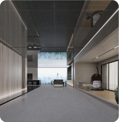 China 600x1200mm Deep Gray Antibacterial Porcelain Tile for Indoor Flooring for sale