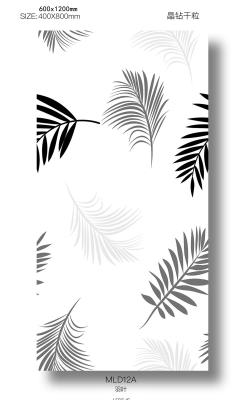 China 60x120cm Glazed Porcelain Wall Tile for Indoor Use for sale