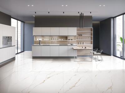 China Carrara Matt Porcelain Tiles 600x1200mm For Indoor Wall And Decoration for sale