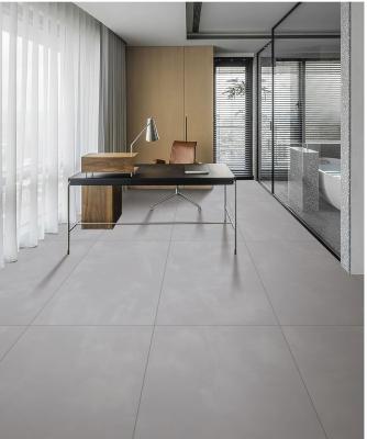 China Light Gray Antibacterial Porcelain Tiles 24x48 Indoor Floor for sale