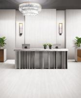 China Soft Glazed Porcelain Tiles 600x1200mm Acid-Resistant Indoor Wall Tiles for sale