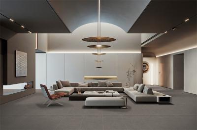 China Gray Grade AAA Matt Porcelain Tiles 60x120cm Indoor Floor For Living Room for sale