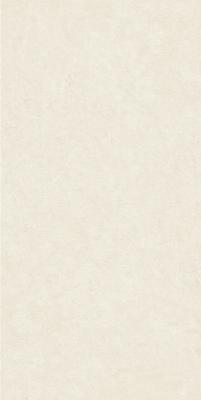 China 600x1200mm Indoor Porcelain Tiles AAA Grade Clay ISO13006 for sale