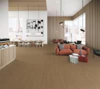 China 600x1200mm Wooden Porcelain Tiles Acid-Resistant Clay Indoor Floor for sale