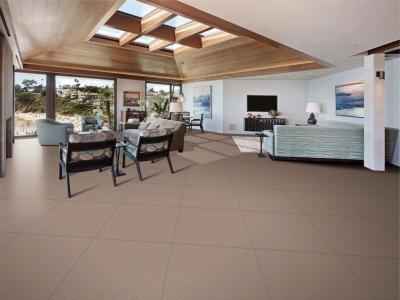 China 600x600mm Full Body Porcelain Tiles AAA Grade for Exterior Walls for sale