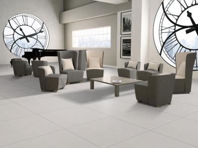 China AAA Grade Full Body Porcelain Tiles 60x60cm Light Gray Indoor Floor for sale
