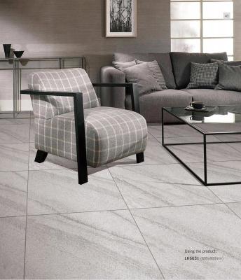 China 600x600mm Antibacterial Full Body Porcelain Tiles AAA Grade for sale
