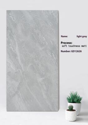 China Light Gray Antibacterial Outdoor Stone Tile 600x1200mm for sale