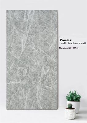 China Light Gray Clay Curtain Wall Tile 600x1200mm Soft Touchness Matt for sale