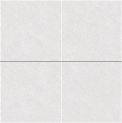 China No Fade Light Gray Marble 800x800mm Polished Glazed Porcelain Tiles For Hotel and Office Wear-resistance for sale