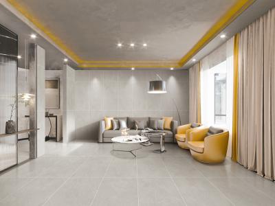 China Gray Beige Mould Surface 24