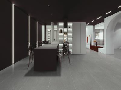 China Gray 600x1200mm Indoor Tiles For Hotel And Matt Porcelain Tile With Mould Surface For Dining Room And Renovation for sale