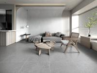 China Stain-Resistant Gray 600x1200mm Matt Mould Surface Indoor Floor Porcelain Tiles For Restaurant And Decoration for sale