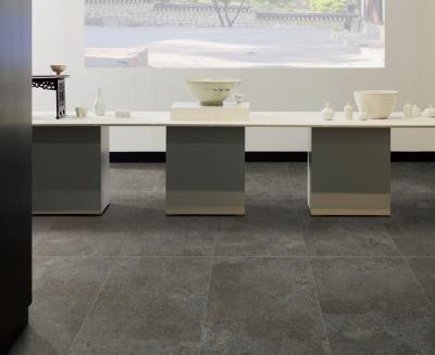 China No Fade And Firebrick Dark Gray Indoor Floor 600x1200mm Matt With Mould Surface Porcelain Tiles For Office for sale