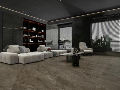 China Water-proof and Firebrick Dark Gray 600x1200mm Mould Surface Matt Porcelain Tiles For Office for sale