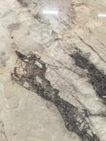China Stunning and Non-slip Green Polished 1600x3200x12mm Sintered Stone Slab AAA Grade for Project and Renovation for sale