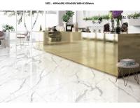 China Anti Alkali Full Body Porcelain Tiles 600x600mm Inkjet Printed for sale