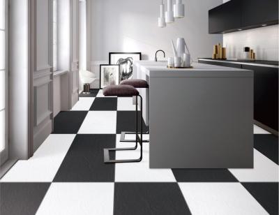 China PRIMERA 600x600mm Full Body Porcelain Tiles Matt Rough Black White for sale