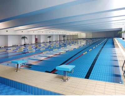 China 115x240mm Ceramic Pool Decking Tiles Glazed Edge Anti-Slip for sale