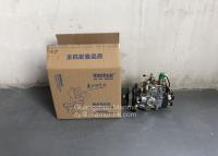 China ISUZU 4JB1 JMC 1030 Fuel Injection Pump Assembly NJ-VE4 11F1900LNJ03 for sale