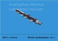 China High Pressure Fuel Rail Truck Auto Part For JMC 1041 493 Euro 3 1129700TAR for sale