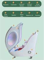 China 200W Far Infrared Ray Aroma Spa Steam Capsule Therapy Beauty Perspiration for sale