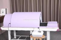 China Beauty Salon FIR Far Infrared Sauna Dome for Detoxification 100V-120V for sale