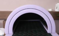 China Beauty Salon FIR Far Infrared Sauna Dome for Detoxification 100V-120V for sale