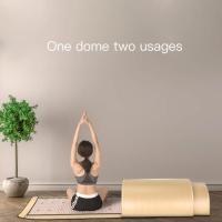 China Detox Far Infrared Sauna Dome for sale