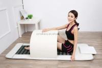 China Custom Curve Sauna Infrared Dome Therapy 600W With Digital Controller for sale