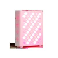 China Infrared Mini Handheld LED Red Light Therapy Product Panel 660nm 850nm for sale