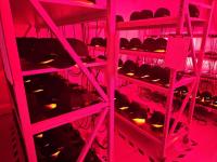 China Update Popular Homeuse Red Light Cap with 660nm 850nm Benecial Led Lights for Improving Oxygen Supply for sale
