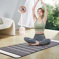 China Blue Red Green Photon Lights One Heating Zone 4 PEMF Coils with Three Colors Lights for Muscle Relax for sale