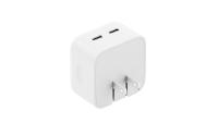 China Dual USB-C Quick Wall Charger 40W Double Port Foldable USBC For IPhone for sale
