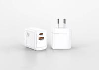 China High-Quality Fast Charging PD 20w Type c Phone Charger GaN Wall Adapter Wholesale for sale