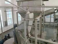 China Fully-Automated Industrial Turnkey Production Plant for Sea Salt Washing for sale