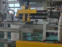 China Salt Packaging Machine Integrated Line for VFFS Pouches 10g-2kg and Open-Mouth Bags 5-25kg with 60 PPM Speed for sale