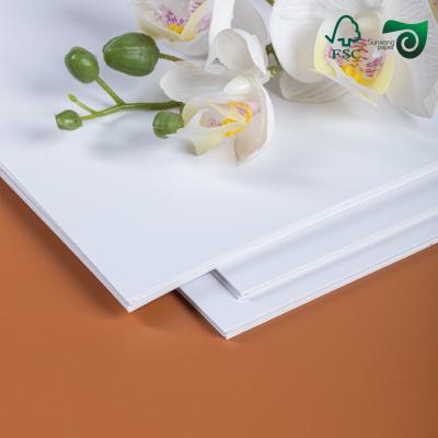 China High Printability Double Sided Coated Glossy Cover Paper 460mm 650mm FSC for sale