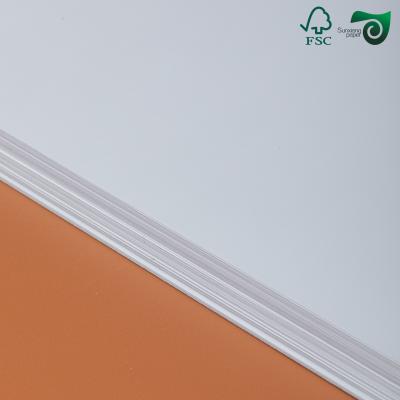 China Offset Printing Synthetic Paper Roll For Inkjet Printers 200um 350um Adhesive Sticker for sale