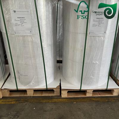 China FSC 200gsm Bowl Base Paper  100% Virgin Wood Pulp Single Side PE Coated for sale