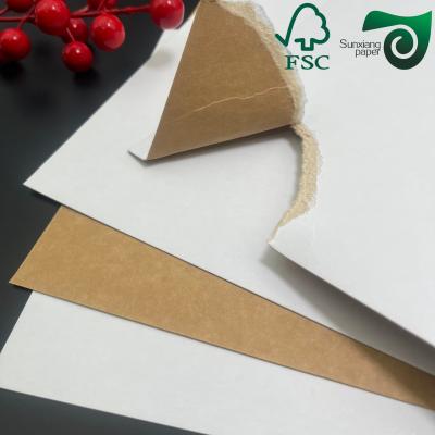 China FSC Food Grade Coated Container Board  Eco Friendly For Food Packaging Boxes for sale