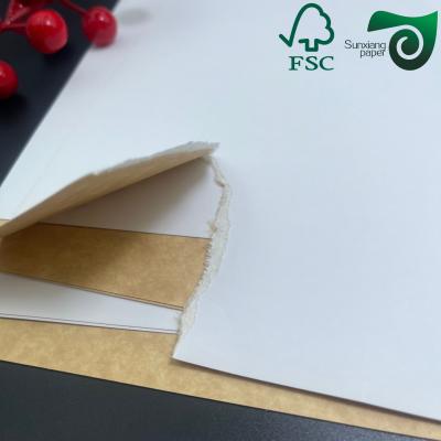 China FSC 250gsm Coated White Top Kraft Back Board Food Grade For Takeaway Boxes for sale