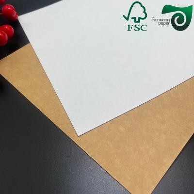 China FSC 250gsm Brown Back White Face CKB Board High Stiffness Frozen Food Packaging Board for sale