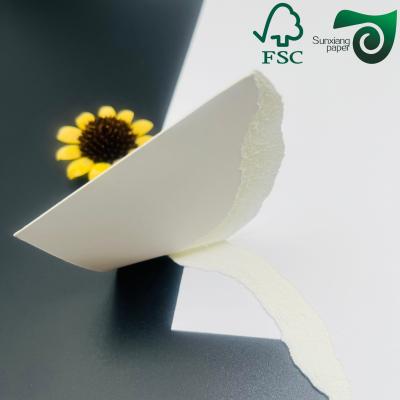 China High Bulk 16 Pts 255gsm FBB Board For Medicine Box One Side Coated 80cm 60cm for sale