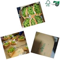 China FSC 250gsm 350gsm Food Grade Brown Kraft Board  For Fruit Vegetable Fresh Produce Packaging for sale