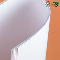 China 889mm Roll Size White Cardboard Optimized for Gravure Printing Made from 100% Virgin Wood Pulp for sale
