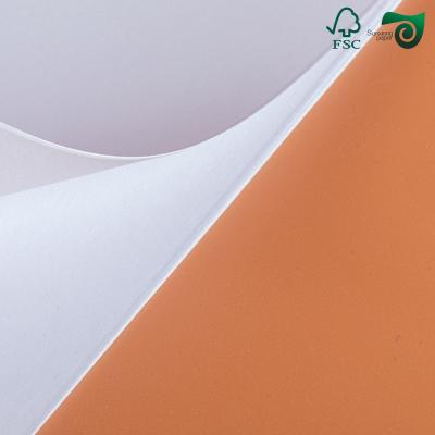 China FSC300gsm C1S Premium White Cardboard Sheets For Packets 700mm 1000mm for sale