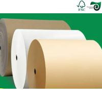 China FSC 250gsm Brown Back White Face CKB Board High Stiffness Frozen Food Packaging Board for sale